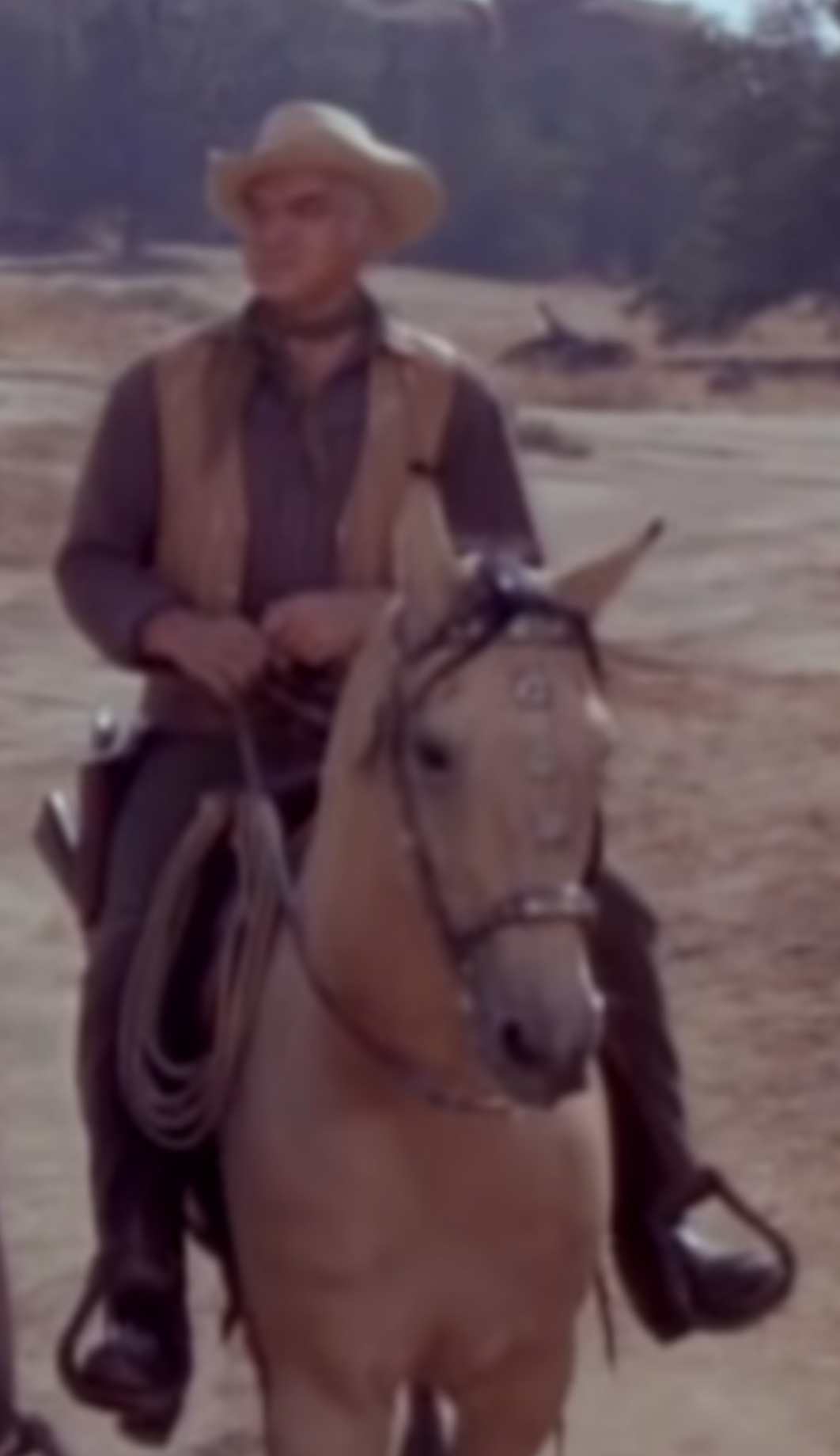 The Story Of How Buck Got His Fancy Bridle – Just Joe Bonanza ...